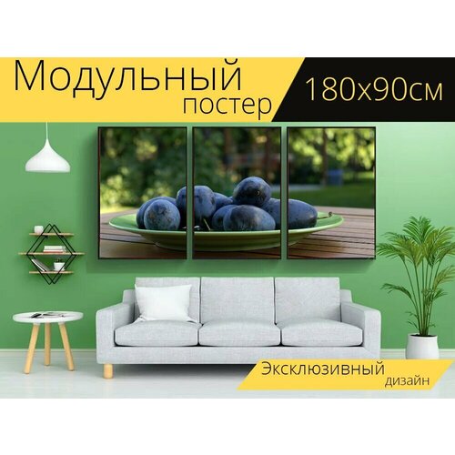 Модульный постер "Сливы, свежий, спелый фрукт" 180 x 90 см. для интерьера