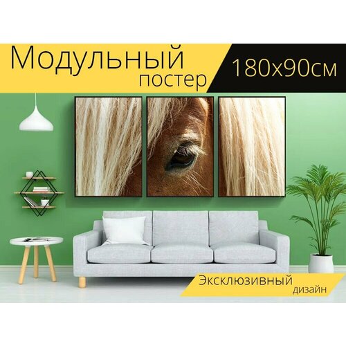 Модульный постер "Лошадь, глаз, лошадиная голова" 180 x 90 см. для интерьера