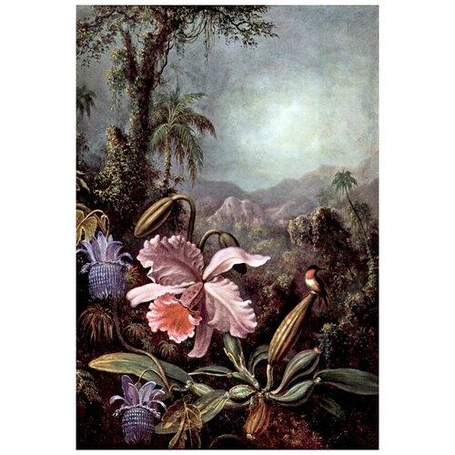Репродукция на холсте Цветы страсти и колибри (Passion Flowers and Hummingbirds) Хэд Мартин Джонсон 30см. x 44см.