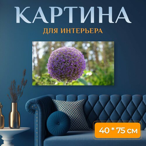 Картина на холсте "Фиолетовый, весна, цветок" на подрамнике 75х40 см. для интерьера