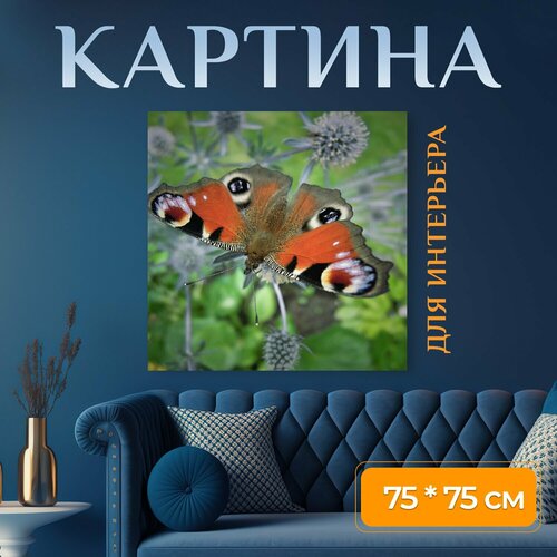 Картина на холсте "Бабочка, животное, насекомое" на подрамнике 75х75 см. для интерьера