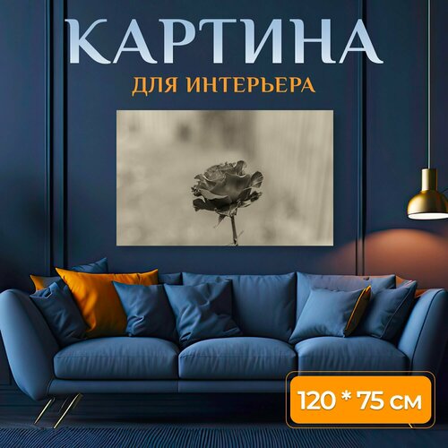 Картина на холсте "Роза, цветок, природа" на подрамнике 120х75 см. для интерьера