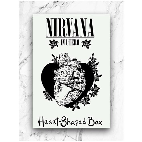 Картины для интерьера на холсте 40х60 см/ Nirvana In utero