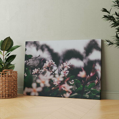 Картина на холсте (Цветущий куст, растение, цветы, природа) 50 70 см/для интерьера/в комнату/на стену/в подарок