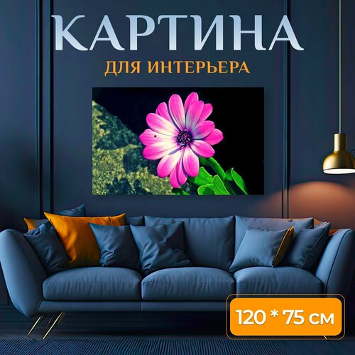 Картина на холсте "Цветок, красочный, летом" на подрамнике 120х75 см. для интерьера