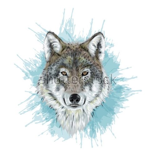 Постер на холсте Голова волка в голубых акварельных брызгах и пятнах 30см. x 33см.