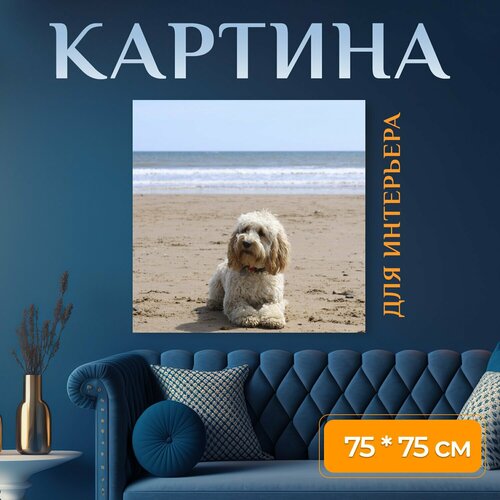 Картина на холсте "Пляж, собака, мяч" на подрамнике 75х75 см. для интерьера