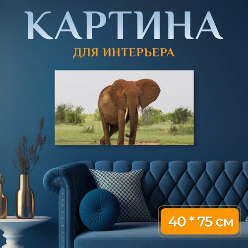 Картина на холсте "Дикая природа, млекопитающее, слон" на подрамнике 75х40 см. для интерьера