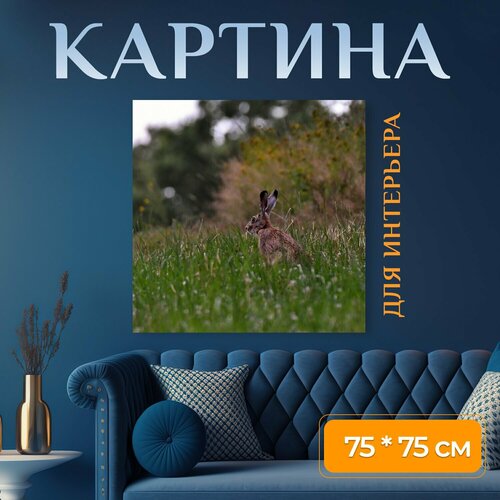 Картина на холсте "Заяц, ложки, грызун" на подрамнике 75х75 см. для интерьера