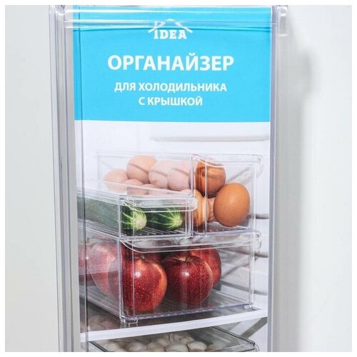 Органайзер для холодильника с крышкой 20*30*10 см. Цвет прозрачный. Лоток для холодильника. Контейнер для холодильника