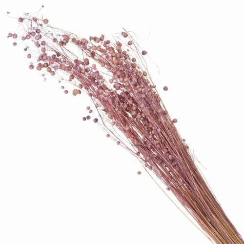Цветок искусственный декоративный Гипсофила, 60 см, фиолет, Y4-6301