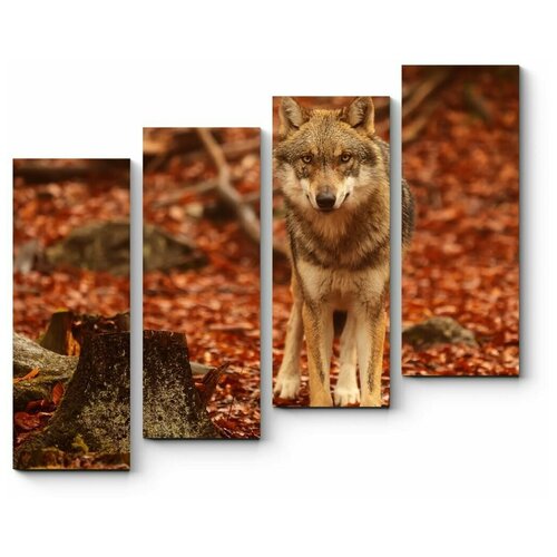 Модульная картина Волк в осеннем лесу 160x138