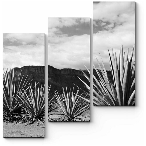 Модульная картина Мексиканский пейзаж 70x75