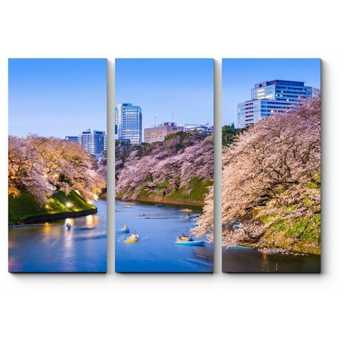 Модульная картина Прекрасная весна в Токио 60x43