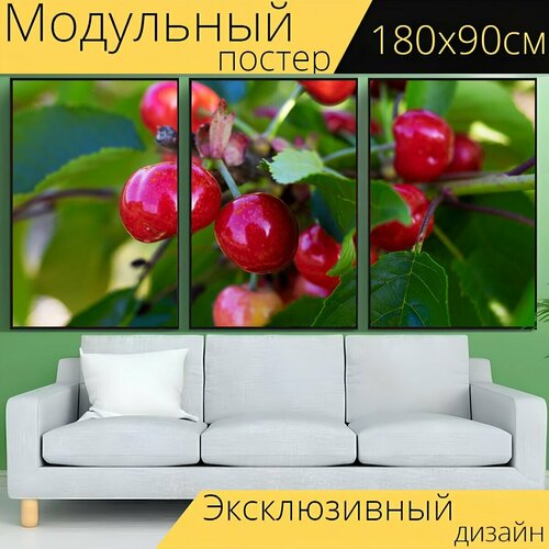 Модульный постер "Вишня, черешня, фрукты" 180 x 90 см. для интерьера