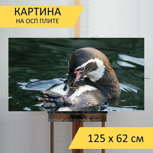 Картина на ОСП 125х62 см. "Пингвин, животные, дикая природа" горизонтальная, для интерьера, с креплениями