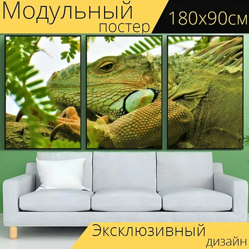 Модульный постер "Игуана, ящерица, рептилия" 180 x 90 см. для интерьера