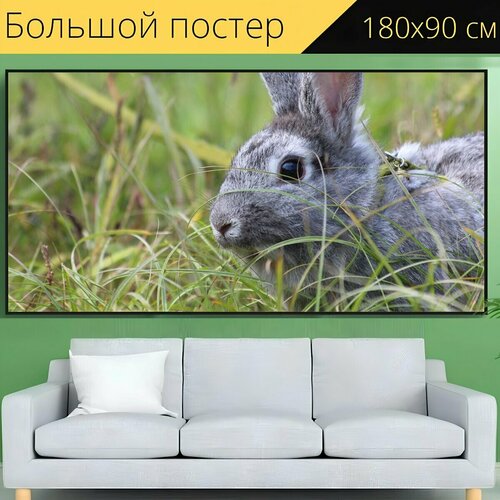 Большой постер "Кролик, домашний кролик, серый кролик" 180 x 90 см. для интерьера