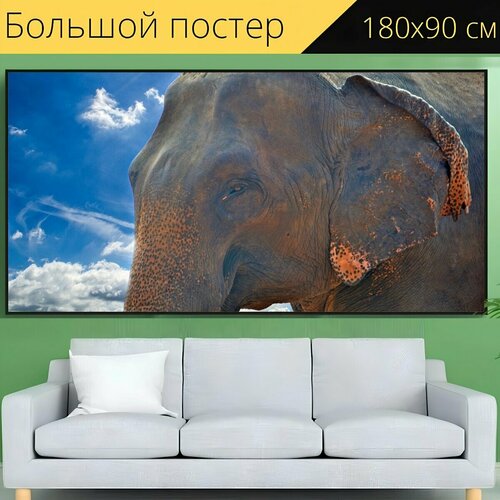 Большой постер "Слон, азиатский слон, гигант" 180 x 90 см. для интерьера
