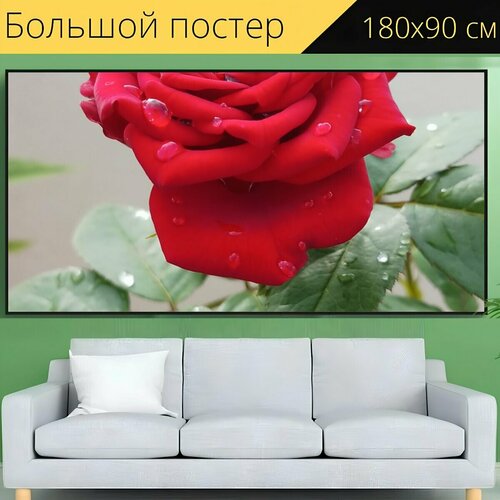 Большой постер "Красный, красная роза, цветок" 180 x 90 см. для интерьера