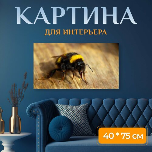 Картина на холсте "Шмель, насекомое, макрос" на подрамнике 75х40 см. для интерьера