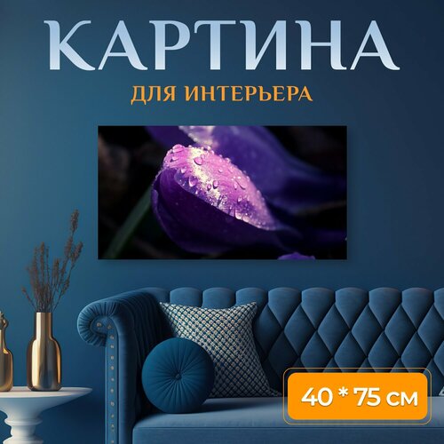 Картина на холсте "Крокус, капля воды, весна" на подрамнике 75х40 см. для интерьера