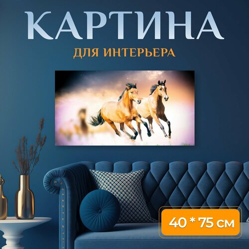 Картина на холсте "Лошади, дикие лошади, животные" на подрамнике 75х40 см. для интерьера