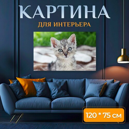 Картина на холсте "Перо, котенок, член семьи" на подрамнике 120х75 см. для интерьера