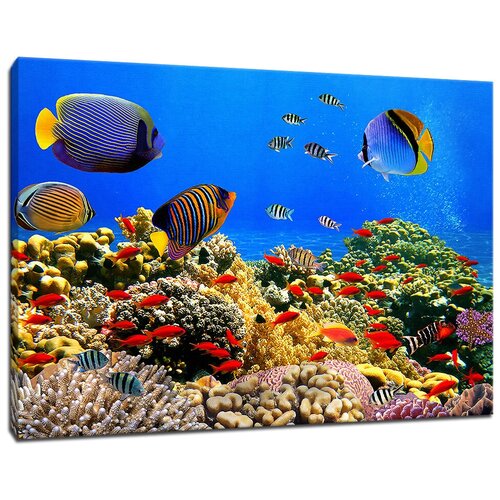 Картина Уютная стена "Красочный подводный мир с яркими рыбками" 90х60 см