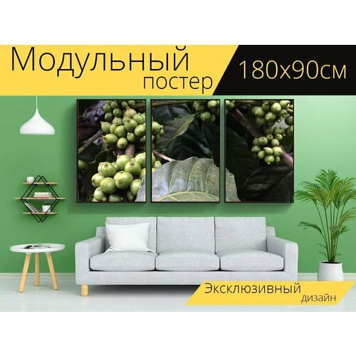 Модульный постер "Кофейные зерна, завод, кофе" 180 x 90 см. для интерьера