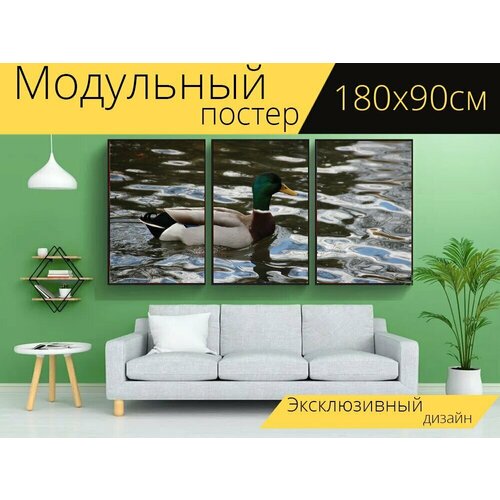 Модульный постер "Дикая утка, охота, утка" 180 x 90 см. для интерьера