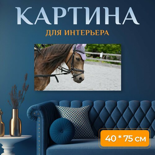 Картина на холсте "Лошадь, пони, лошадиная голова" на подрамнике 75х40 см. для интерьера