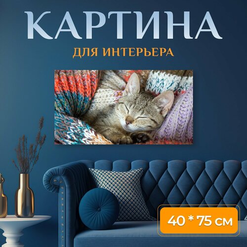 Картина на холсте "Кот, котенок, малыш" на подрамнике 75х40 см. для интерьера