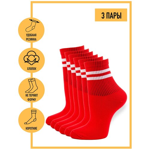 Носки Годовой запас носков, 3 пары, размер 25 (39-41), красный