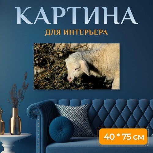 Картина на холсте "Овец, ягненок, баранина" на подрамнике 75х40 см. для интерьера