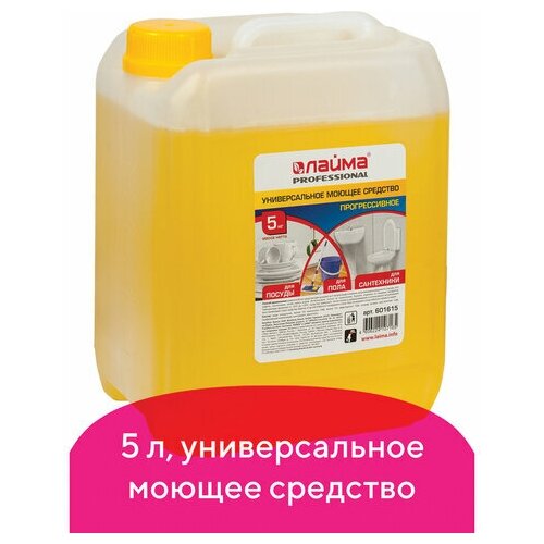 Средство моющее универсальное 5 кг, лайма PROFESSIONAL (аналог прогресс), 601615 2 шт.