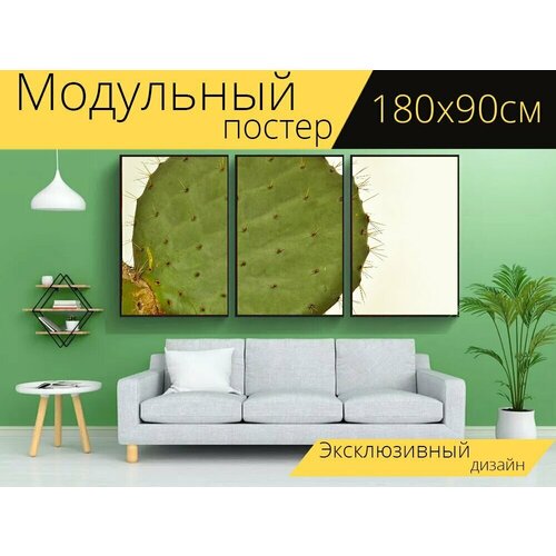 Модульный постер "Кактус, завод, природа" 180 x 90 см. для интерьера