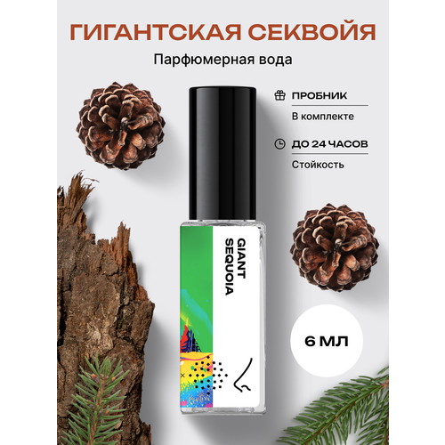 Demeter Fragrance Library (Деметер) Туалетная вода Giant sequoia Гигантская секвойя 6 мл