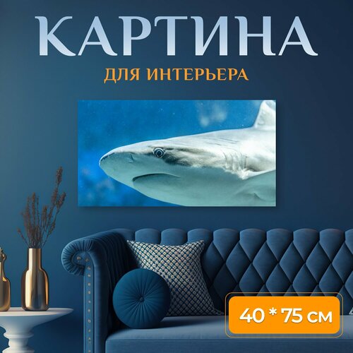 Картина на холсте "Акула, животное, подводный" на подрамнике 75х40 см. для интерьера