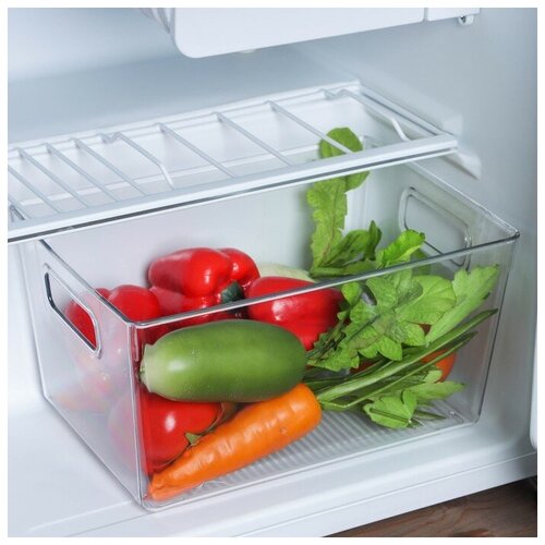 Контейнер для холодильника RICCO, 29×20,5×15,5 см, цвет прозрачный