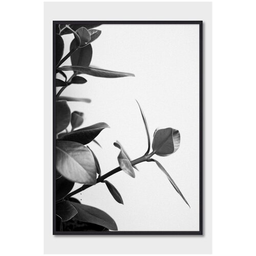 Черно-белый постер на стену для интерьера Postermarkt Листья растения №2, постер в черной рамке 40х50 см, постеры картины для интерьера в черной рамке
