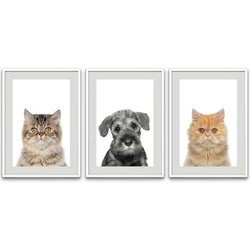 Набор интерьерных постеров "Собака и кошки", 3 шт (без рамок) 21х30 см, картина / постер / иллюстрация