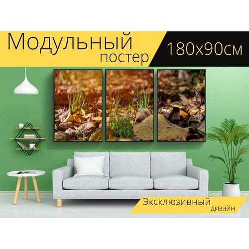 Модульный постер "Осень, помет, листья" 180 x 90 см. для интерьера