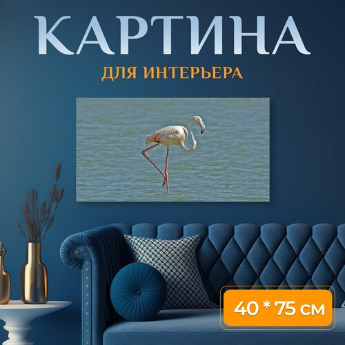 Картина на холсте "Фламинго, птица, озеро" на подрамнике 75х40 см. для интерьера