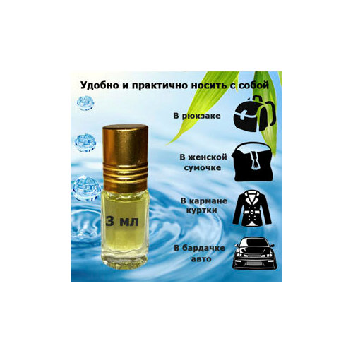 Масляные духи Vanitas Versache, женский аромат, 3 мл.