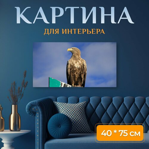 Картина на холсте "Орел, птица, лофотенские острова" на подрамнике 75х40 см. для интерьера