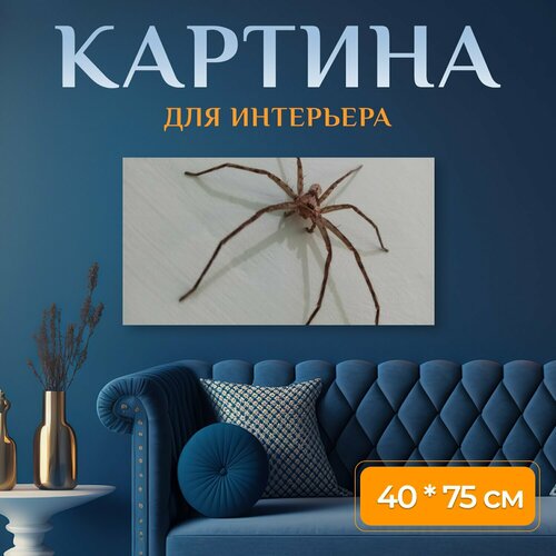 Картина на холсте "Микрофотография, паук, насекомое" на подрамнике 75х40 см. для интерьера