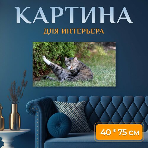 Картина на холсте "Кошка, животное, хищный" на подрамнике 75х40 см. для интерьера