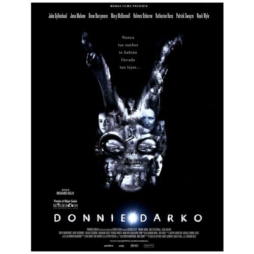 Плакат, постер на холсте Donnie Darko, Донни Дарко. Размер 60 х 84 см