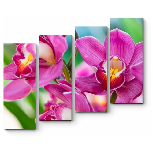 Модульная картина Тайские орхидеи, Чиангмай (Таиланд) 90x78